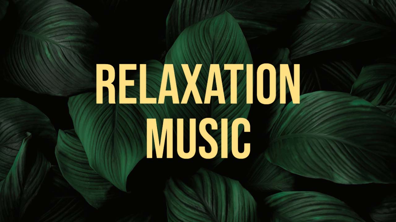 Relaxation Music - MyRelaxation.Online Streaming Service