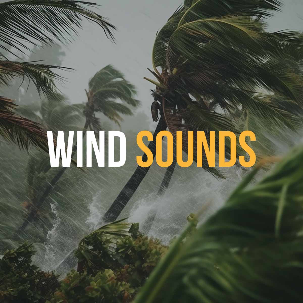 Wind Sounds For Sleep And Relaxation (2+ Hours) - MyRelaxation.Online